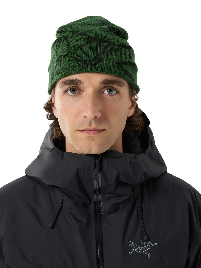 Arc'teryx Bird Head Toque Vitality/Fluidity | Fjellsport.no