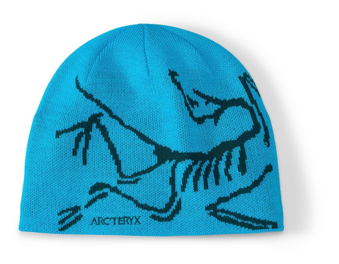 Arc'teryx Bird Head Toque Blue Tetra/Pytheas | Fjellsport.no