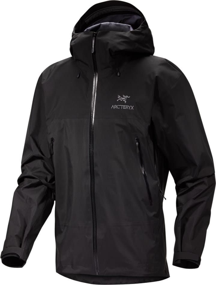 Arc'teryx Men's Beta Ar Jacket Stormhood Black | Fjellsport.no