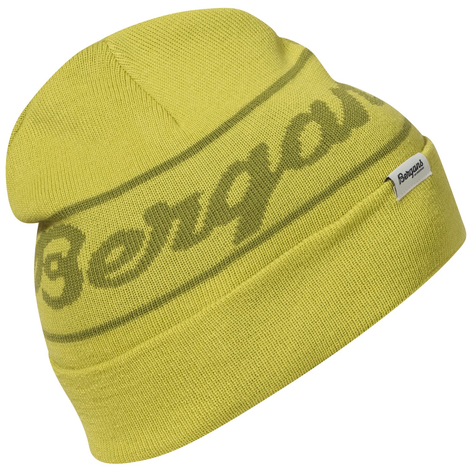 Bergans Juniors' Logo Beanie Green Oasis/Dark Green Oasis | Køb Bergans ...