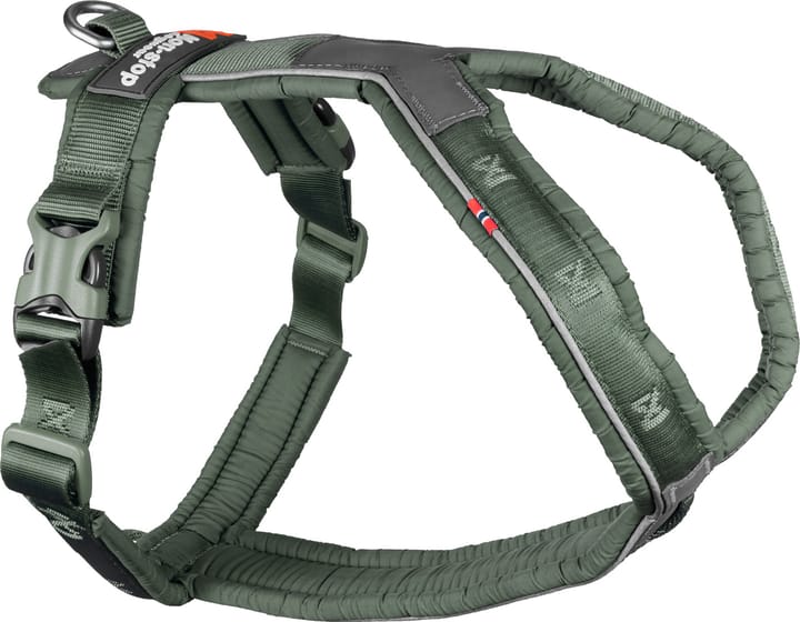 Buy Dog equipment from Outnorth